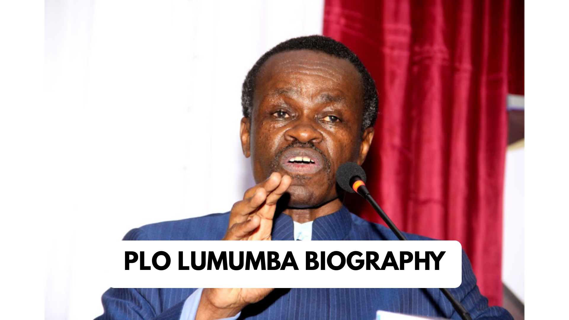 PLO Lumumba Biography: Education, Wife, Religion, Tribe, Age & Net ...